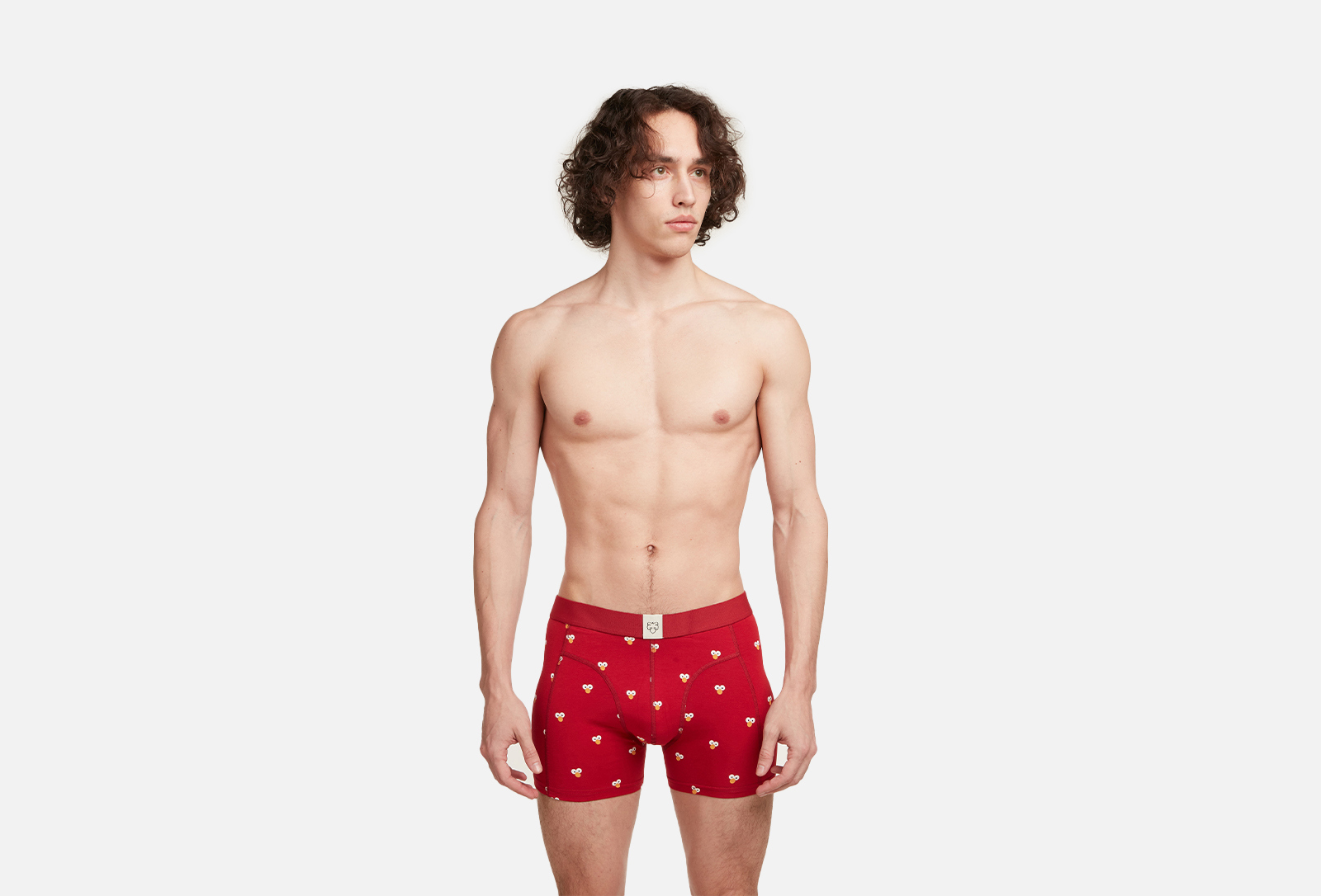 A-dam Боксеры GOOGLY ELMO Googly Elmo XL — купить, цена в Москве